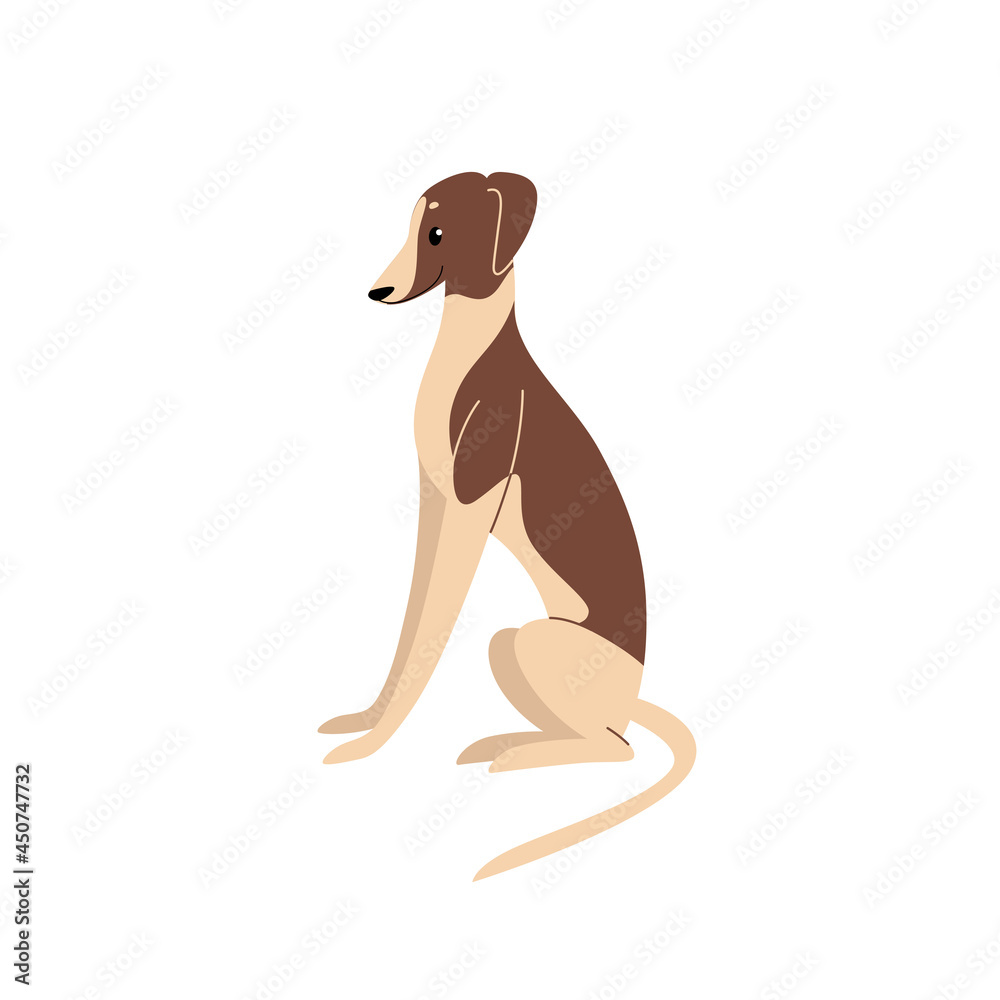 Whippet. Cute dog character. Vector illustration in cartoon style for ...