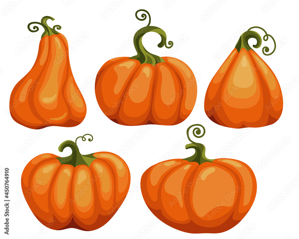 Pumpkins clipart Set of autumn ripe vegetables harvesting Bright symbol ...