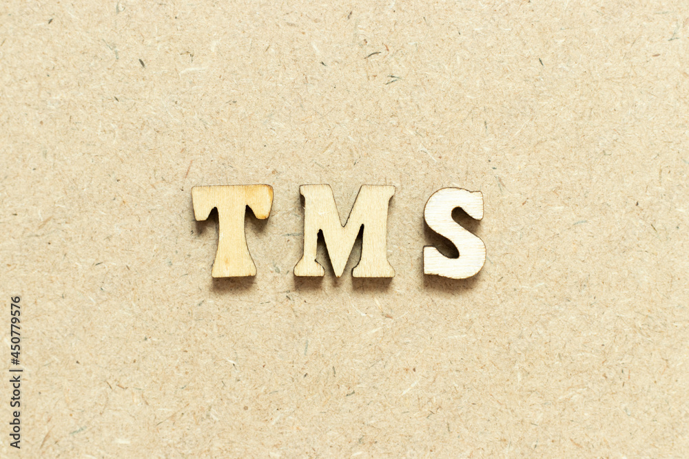 Alphabet letter in word TMS (Abbreviation of Transportation management ...