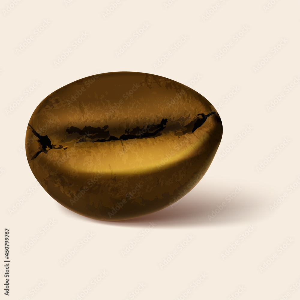 Coffee grains, Coffee beans realistic. Showing various stages of ...