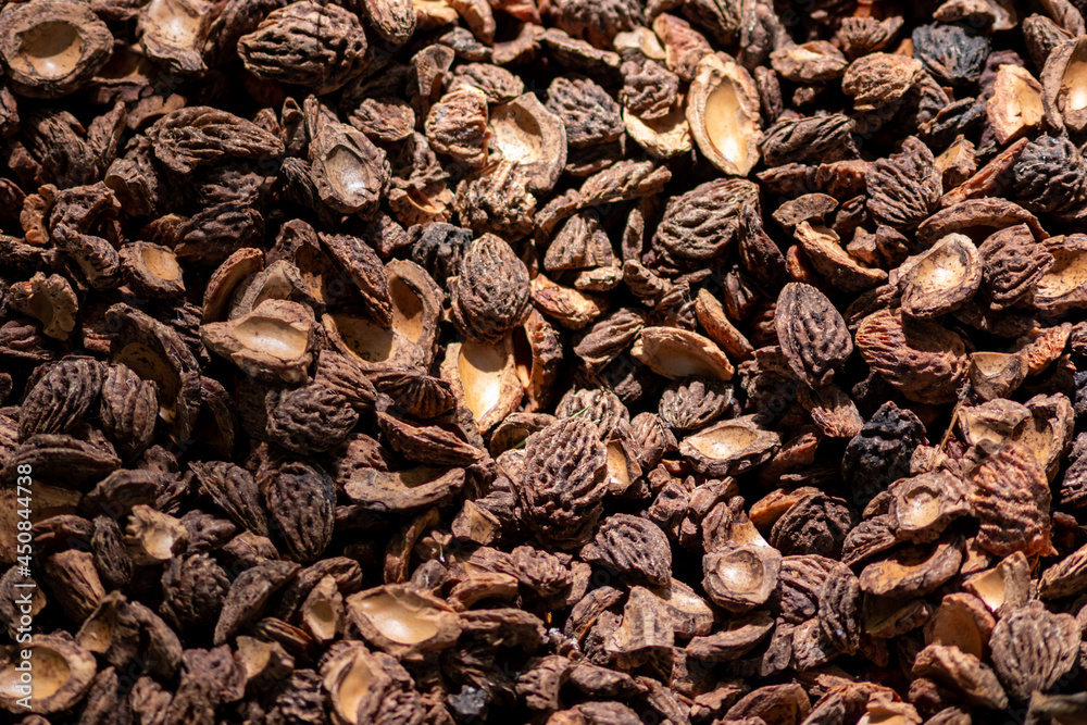 Organic background with shredded peach seeds as organic mulching and ...