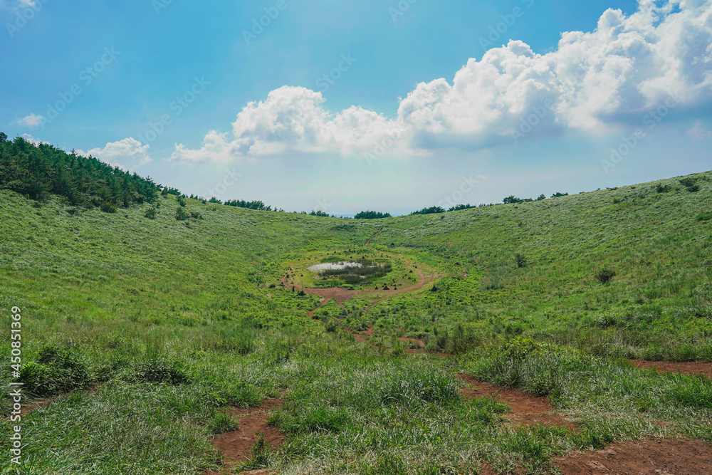 Geum Oreum Stock Photo | Adobe Stock