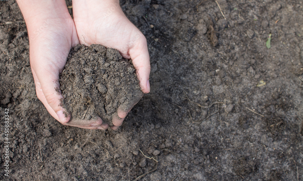 Human hands holding a handful of earth in close-up and space for ...