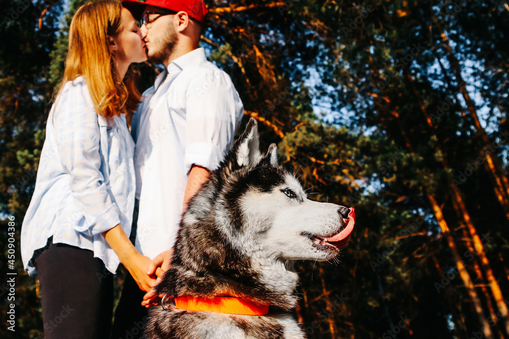 A dog sticks out its tongue and licks its nose in the background a man ...