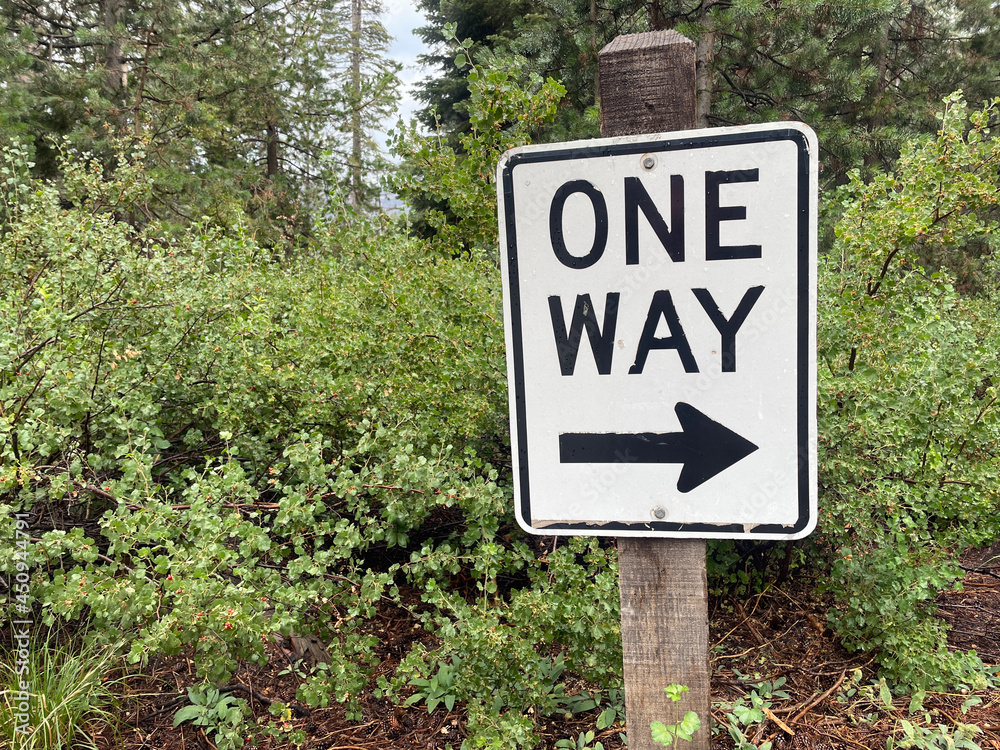 One way sign with arrow pointing the the right to the right. Lush ...