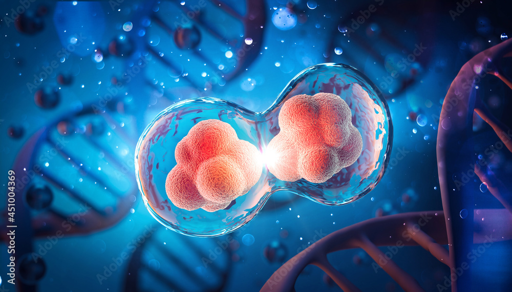 Human Cell Division under a microscope. Cellular Therapy. 3d ...