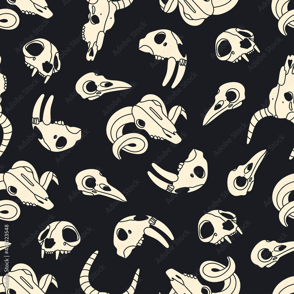Various Skulls of different animals and birds. Skull of ram, cat or ...