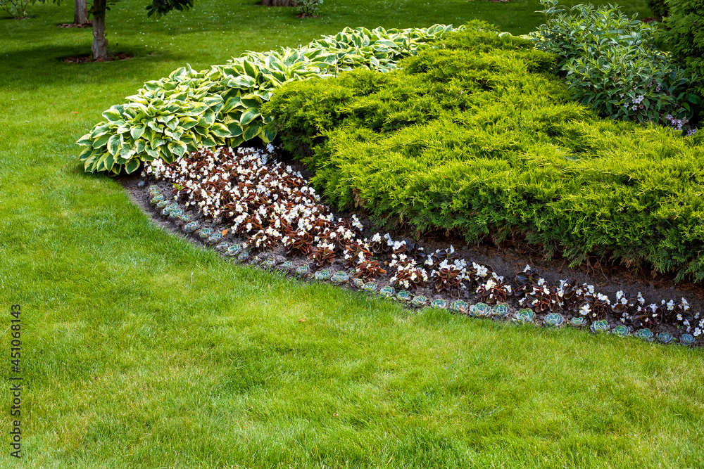 garden bed in park with plants deciduous flowers and evergreen bush in ...