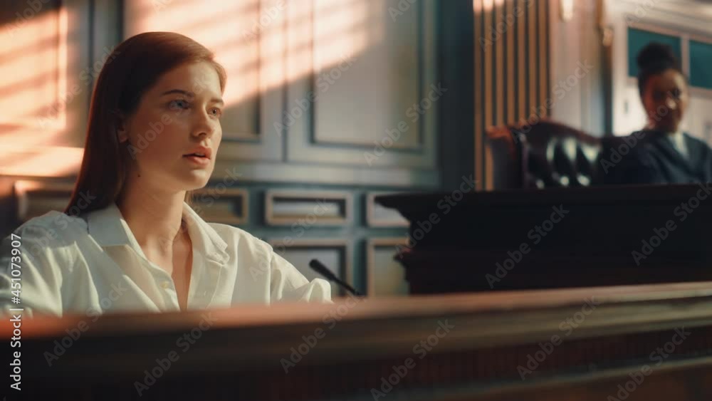 Court of Law and Justice Trial Stand: Portrait of Beautiful Female ...