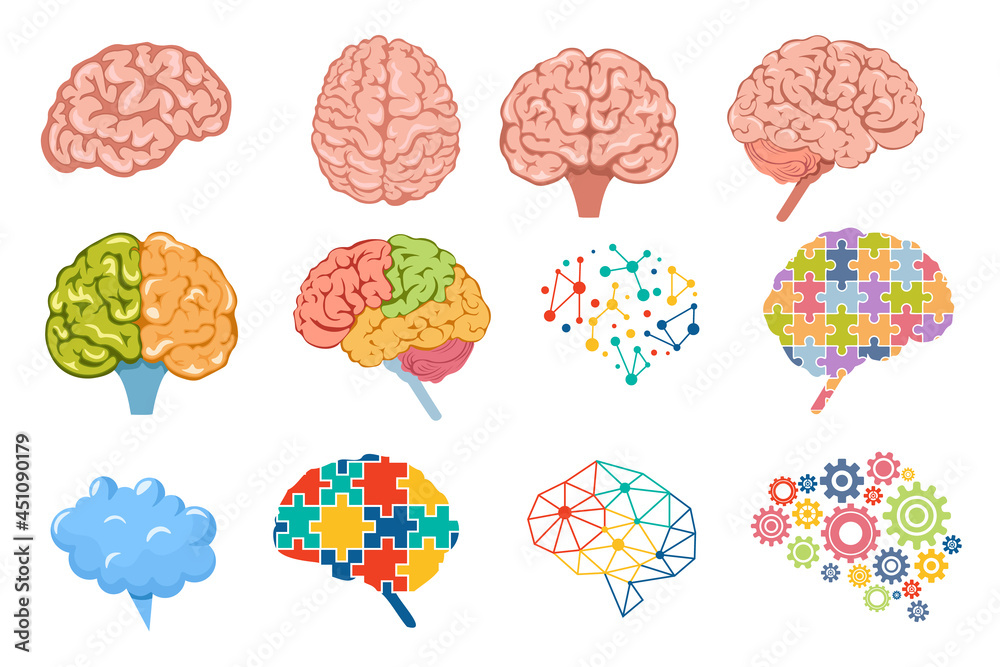 Brain Front View Clipart