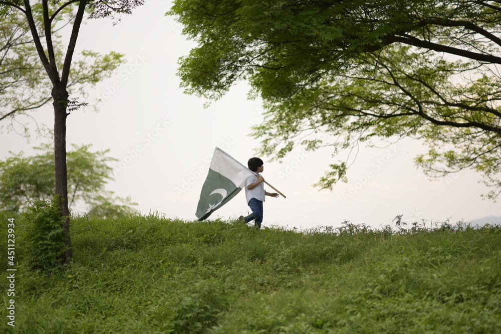 Foto de cheerful active little boy celebrating 14th of August, Pakistan ...