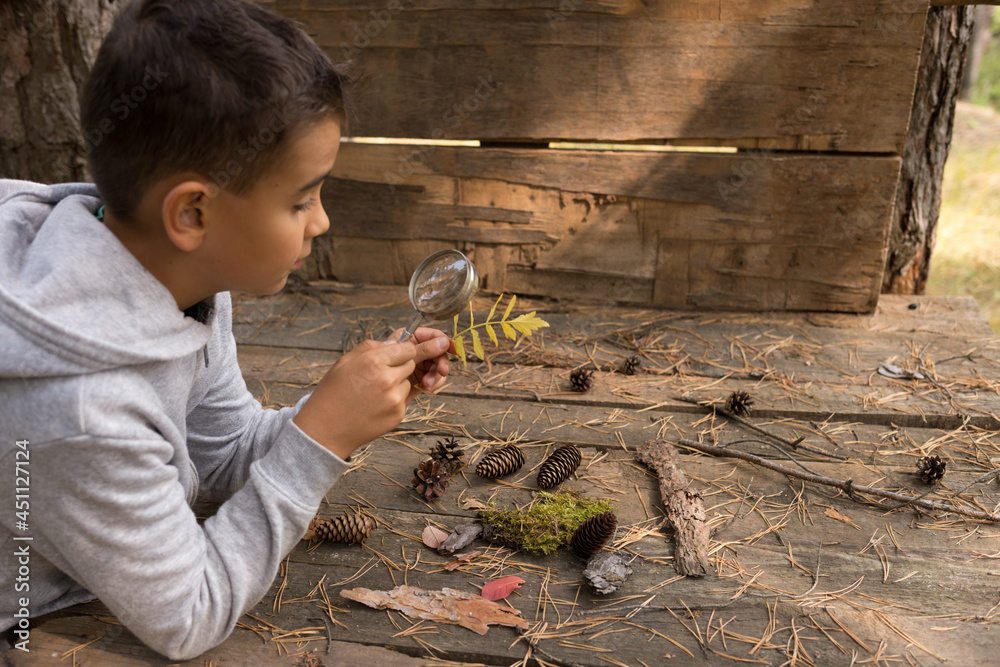 Little boy looking at a leaf of a tree with a magnifying glass Stock ...