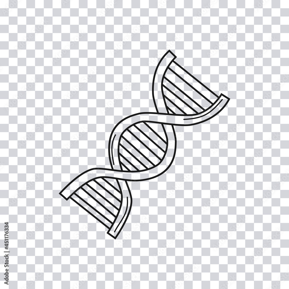 Hand drawn DNA isolated on transparent background. Sketch. Vector ...