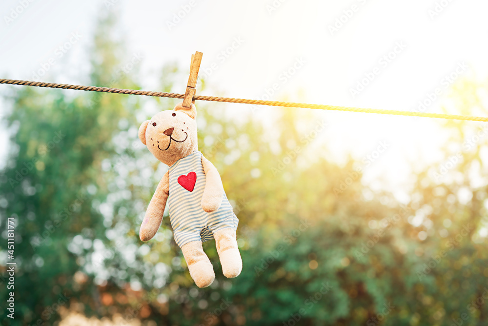 Teddy bear hanging on a clothesline and drying in the sun Stock Photo ...