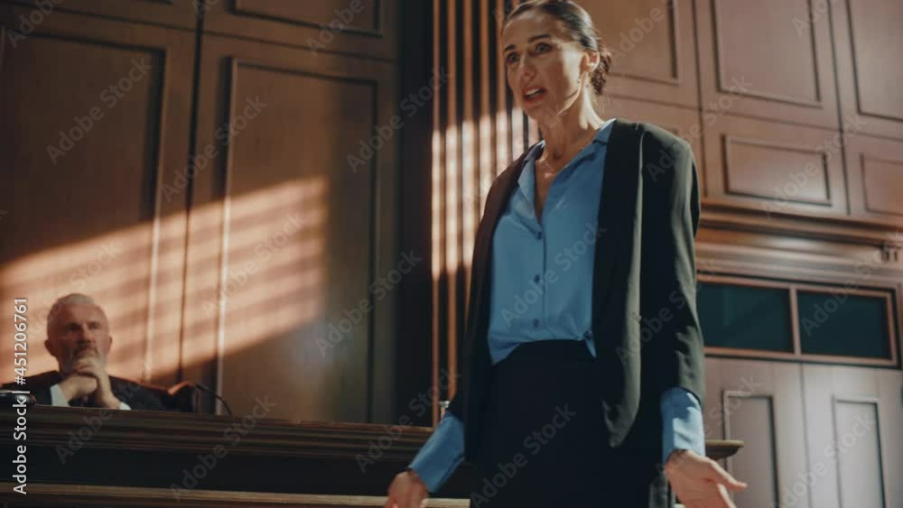 Court of Justice and Law Trial: Successful Female Public Defender ...