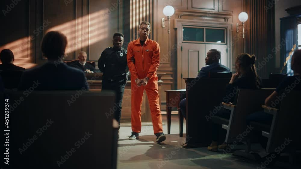 Cinematic Court of Law and Justice Trial Proceedings: Portrait of ...