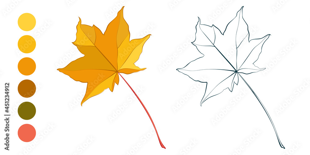 Coloring sheet with yellow autumn maple leaf and appropriate color ...