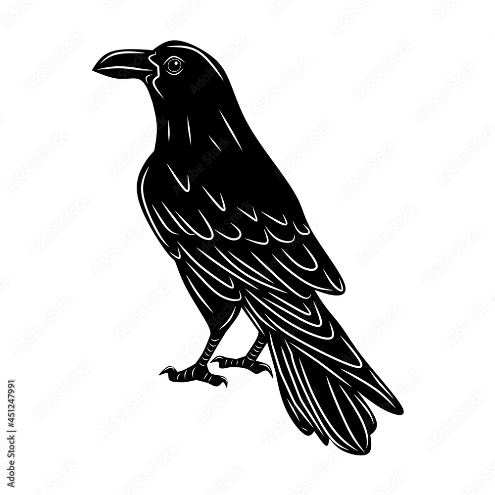 Raven black, cartoon isolated on white background, vector illustration ...