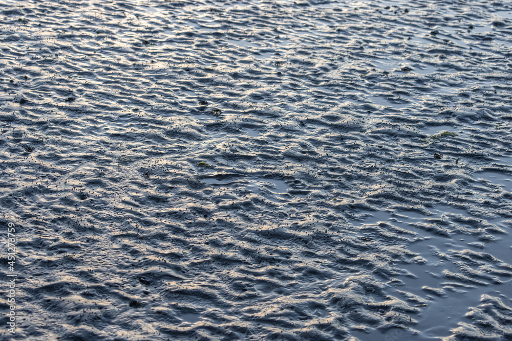 sparkling water texture of water in large lake Stock Photo | Adobe Stock