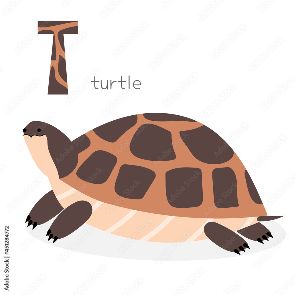 Animals alphabet. T for turtle. Flat vector illustration on white ...