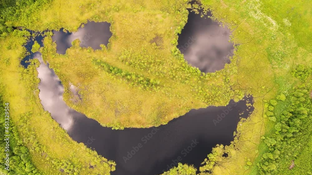 Lake - smiling face, fountain natural phenomenon, aerial view. Pond as ...
