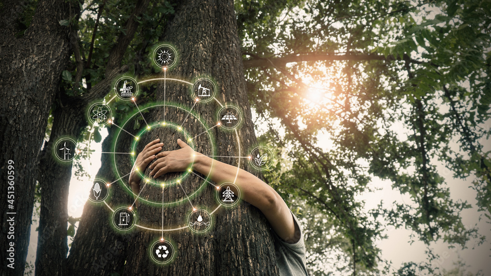 Woman hugging a big tree in the outdoor forest with ecology ...