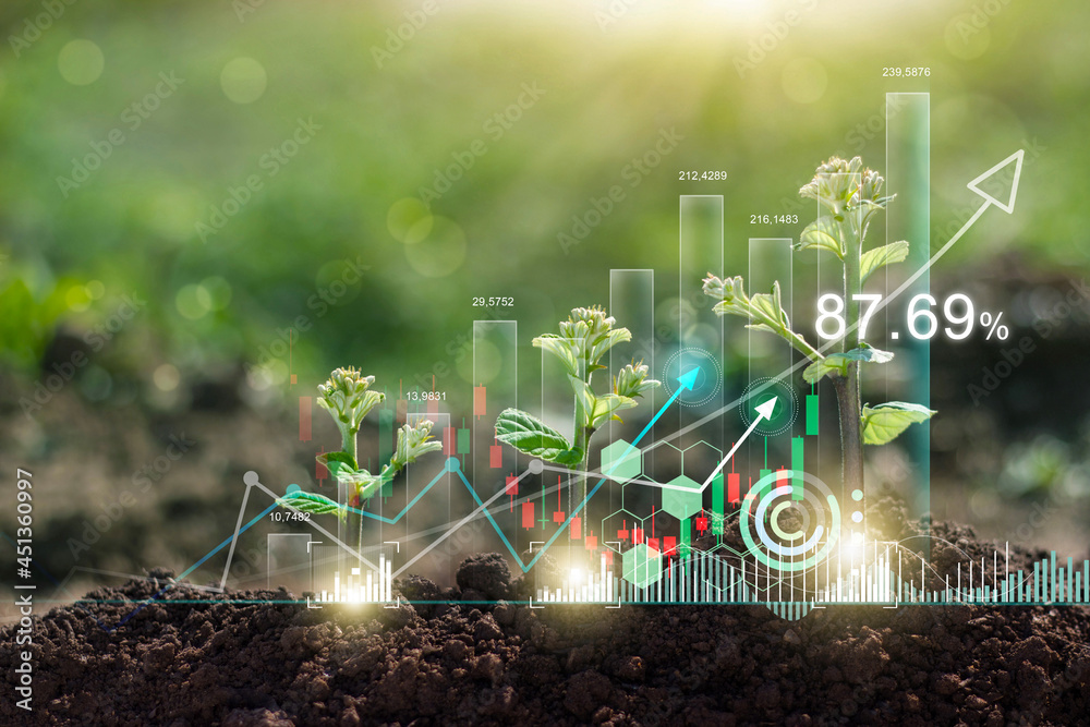 Plant and graph chart growing with shape of arrow, Business investment ...