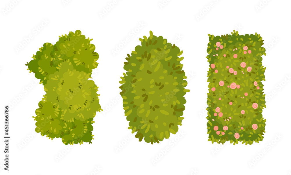 View from above of hedges of different shapes set. Park and garden ...