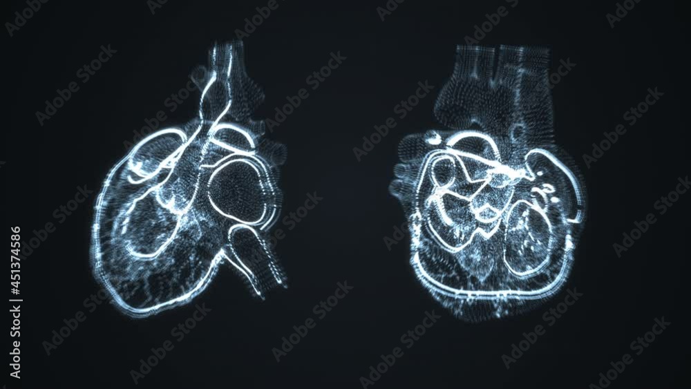 Dynamic pulsating heart. MRI scanning. Heart beat line. Cardiogram ...