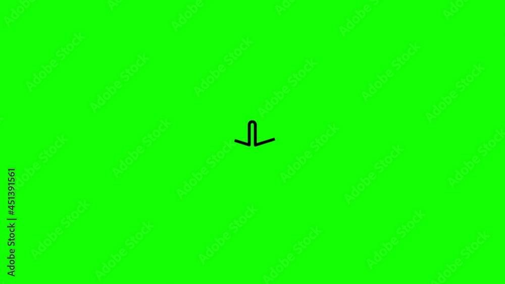 Starfish line icon animation on the green screen background. 4K video ...