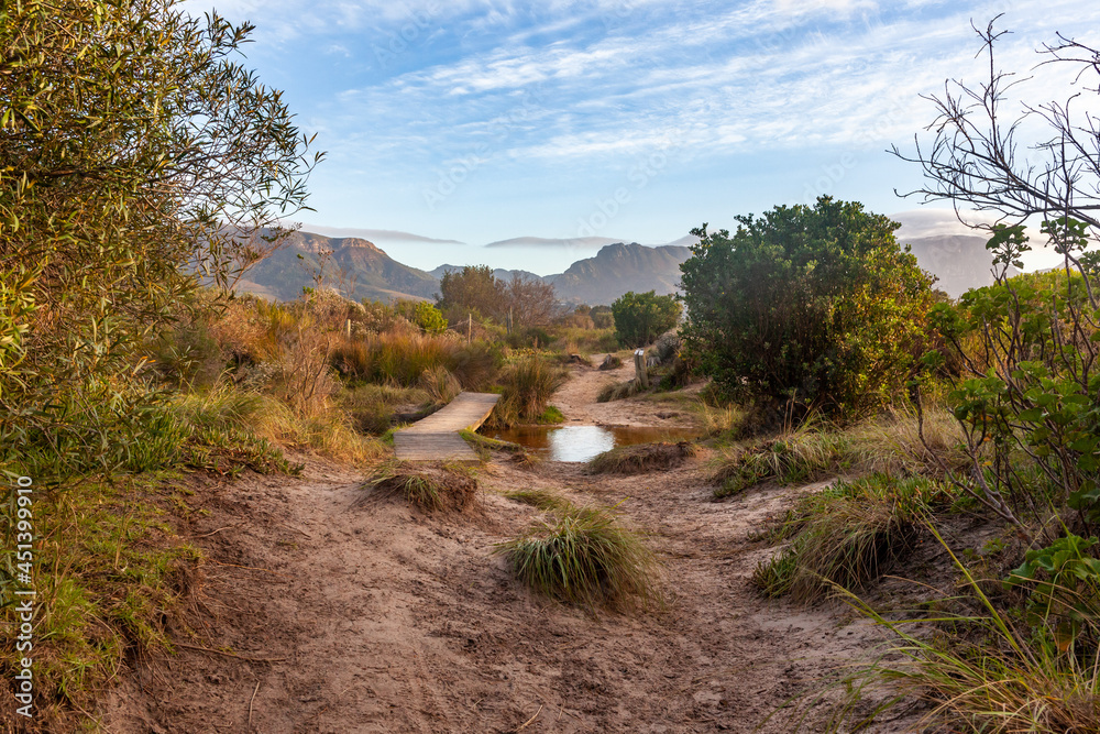 The Tokai forest park which is made up of different sections of pine ...