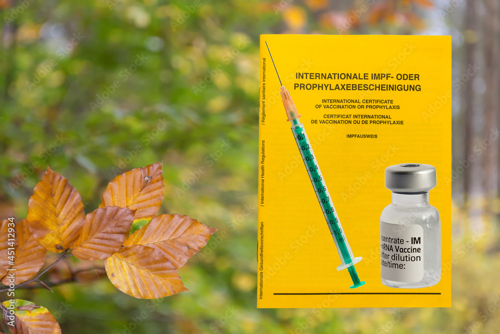 Vaccination passport, injection syringe and vaccine bottle on an autumn ...