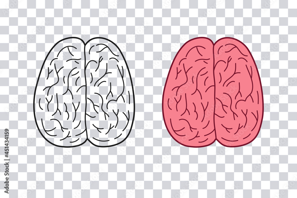 Hand drawn human brain set isolated on transparent background. Vector ...