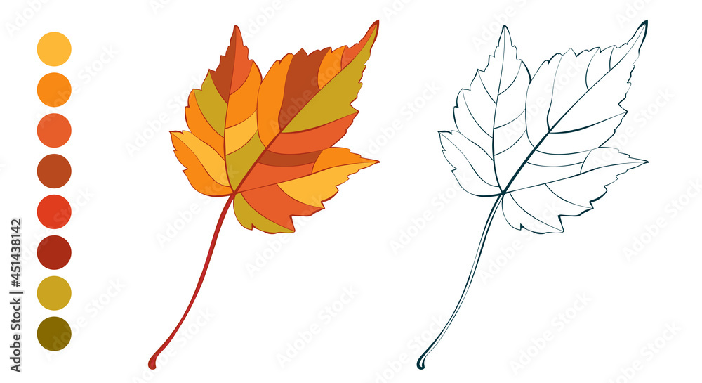 Coloring sheet with colorful autumn maple leaf and color palette ...