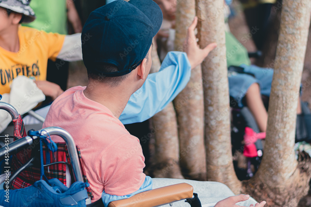 Smart handicapped teenager boy on wheelchair and friends on nature ...