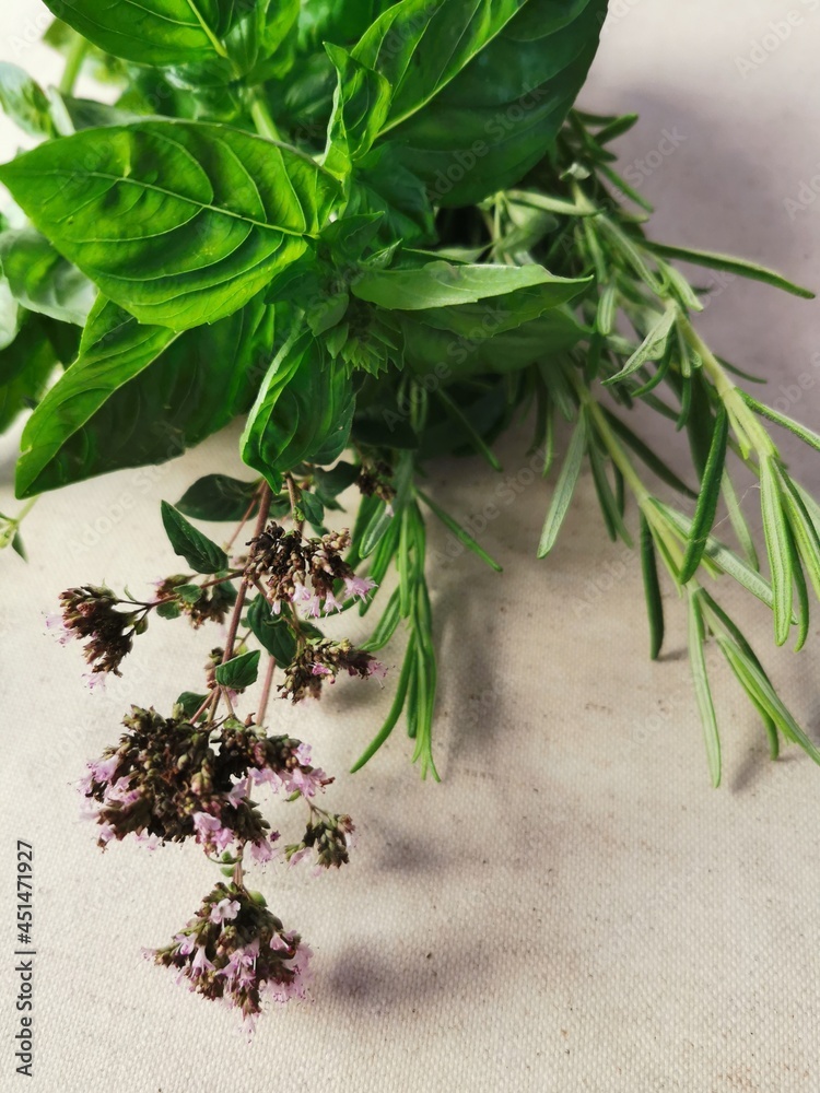 herbs Stock Photo | Adobe Stock