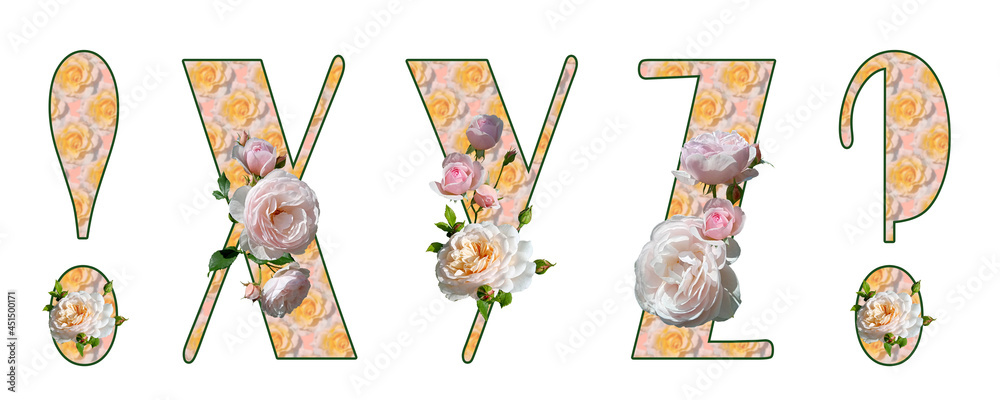 Latin capital letters X, Y, Z, exclamation and question marks with pink ...
