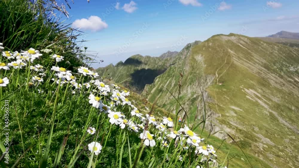 Moldoveanu Peak. Images from the route to Moldoveanu Peak. The highest ...