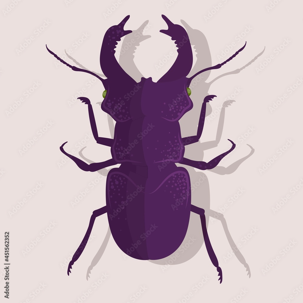 Bug, beetle with horns isolated on light background. Vector ...