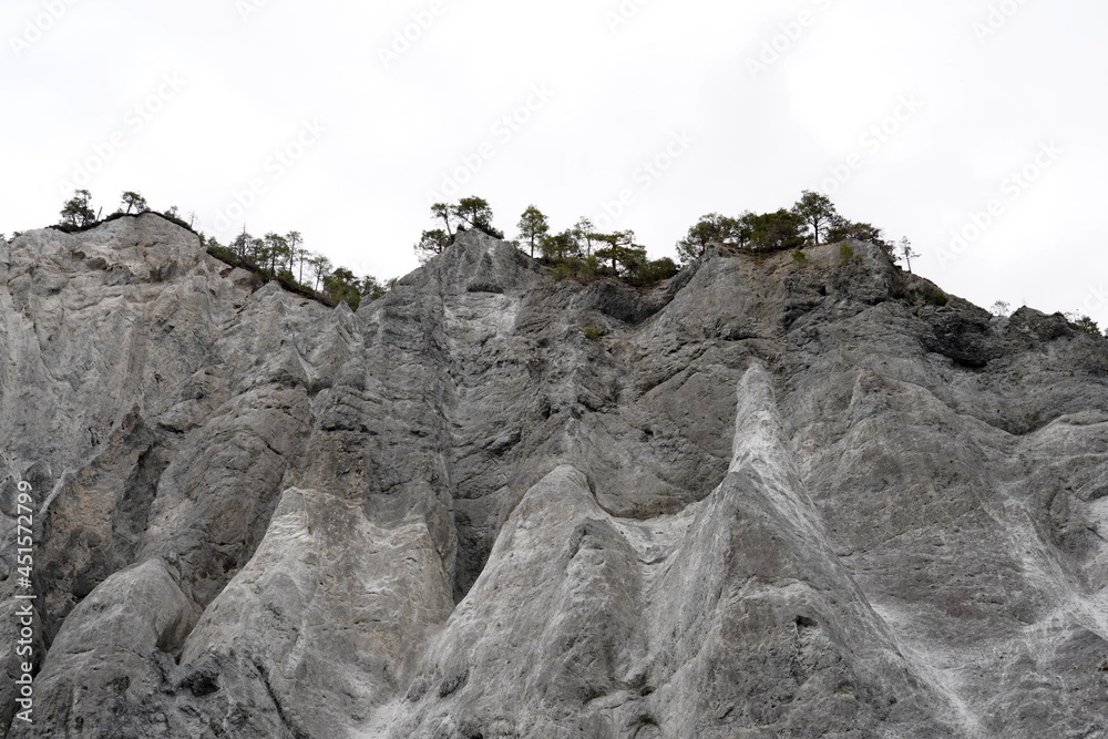 Rocky walls of the Ruinaulta ravine or gorge in Switzerland. Photo from ...