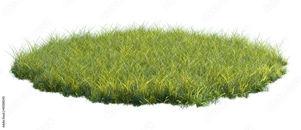 Round surface patch covered with green grass isolated on white ...