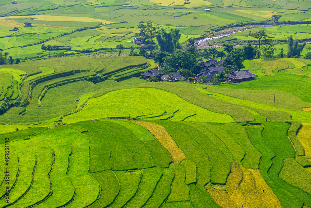 Rice fields on terraced beautiful shape of TU LE Valley, view on the ...