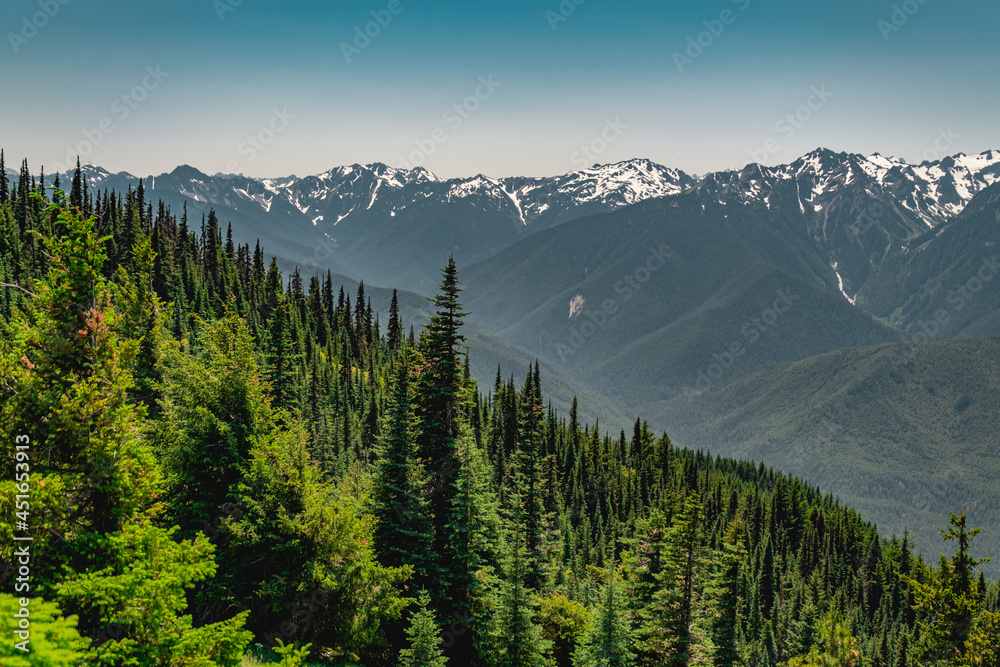 The Olympic mountains in summer, viewed from the Hurricane Hill trail ...