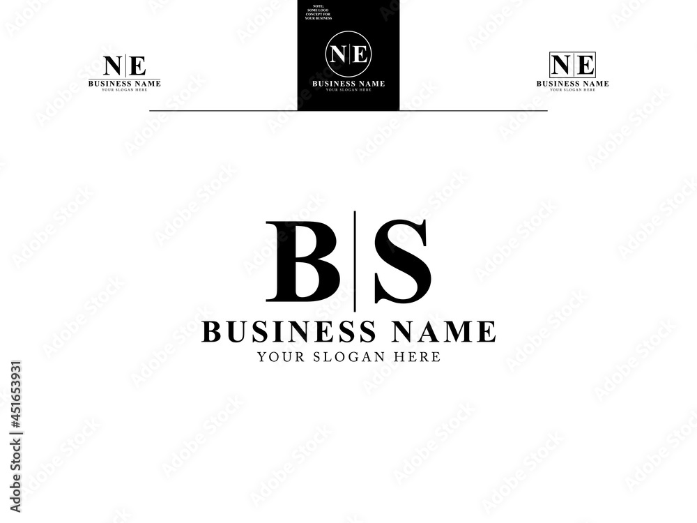 Letter BS Logo, Monogram bs logo icon vector with Abstract B&S unique ...