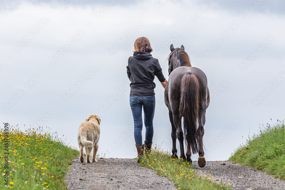 Dogs and horses concept: A woman walks her dog and her horse on a ...