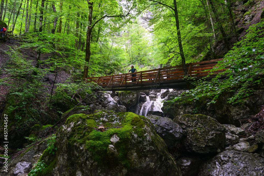 Klauser Wasserfall bei Mellau, Bezirk Bregenz in Vorarlberg Stock Photo ...