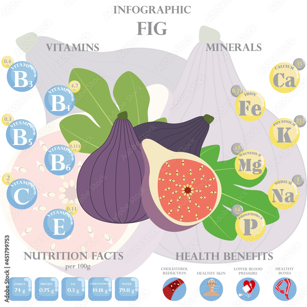 Health benefits and nutrition facts of fig infographic vector ...