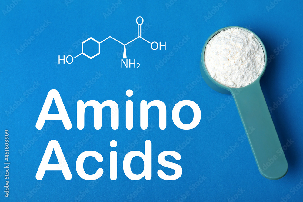 Measuring scoop of amino acids powder on blue background, top view ...