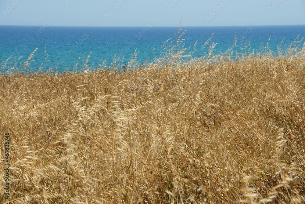 Calamosche beach is located between the archaeological remains of Eloro ...