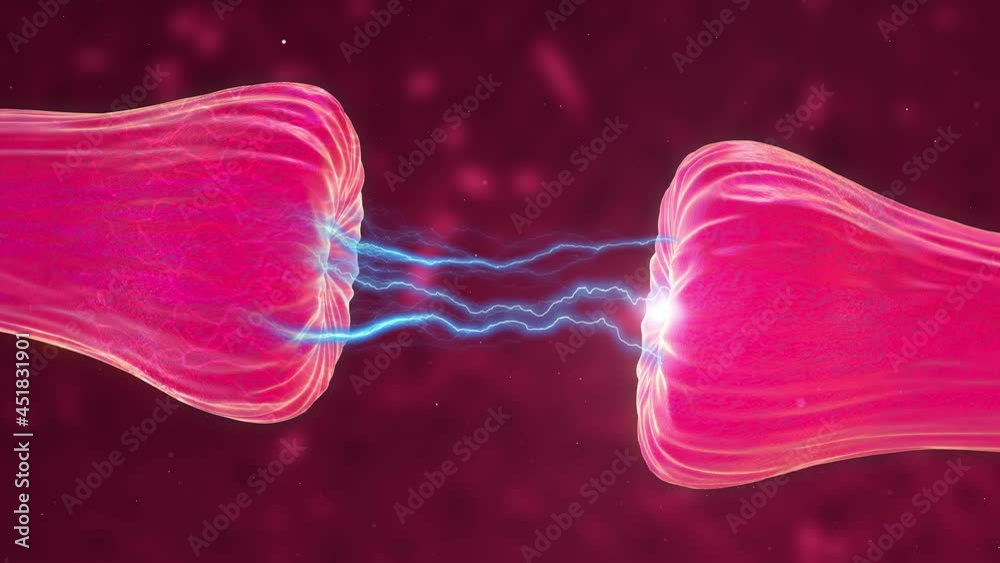 Neuronal and Synapse Activity animation showing chemical messengers or ...